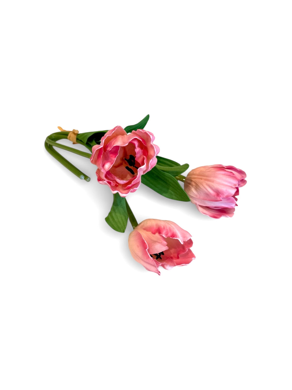 Pink Tulip Bundle – Gourmet Girls